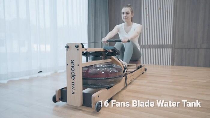 Snode RW8 Water Rower: Pros, Cons, Cost and More